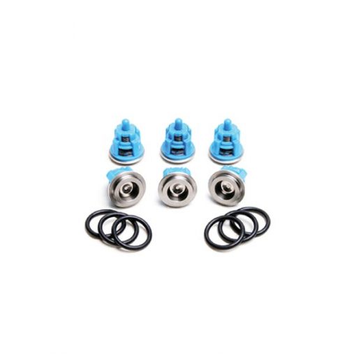 Valve Kit : Kit141 Bertolini | SES Direct Ltd