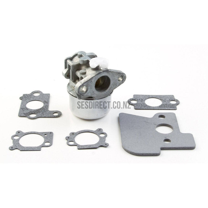 Briggs & Stratton 790120 Carburetor Replaces 694202 693909 692648 ...